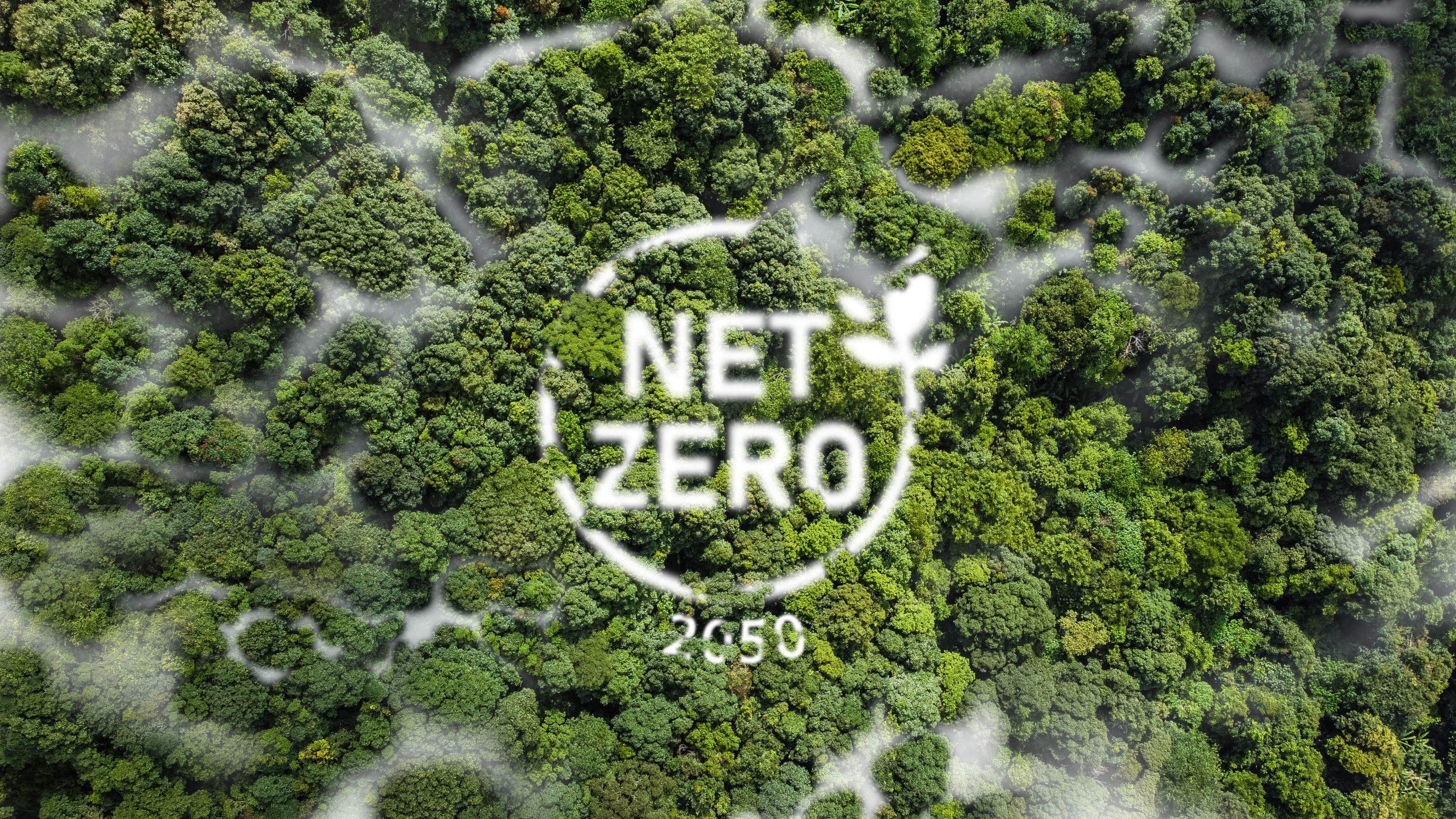 NET ZERO: GLOBAL ADVANCES, CHALLENGES, AND AGROAMERICA'S COMMITMENT ...